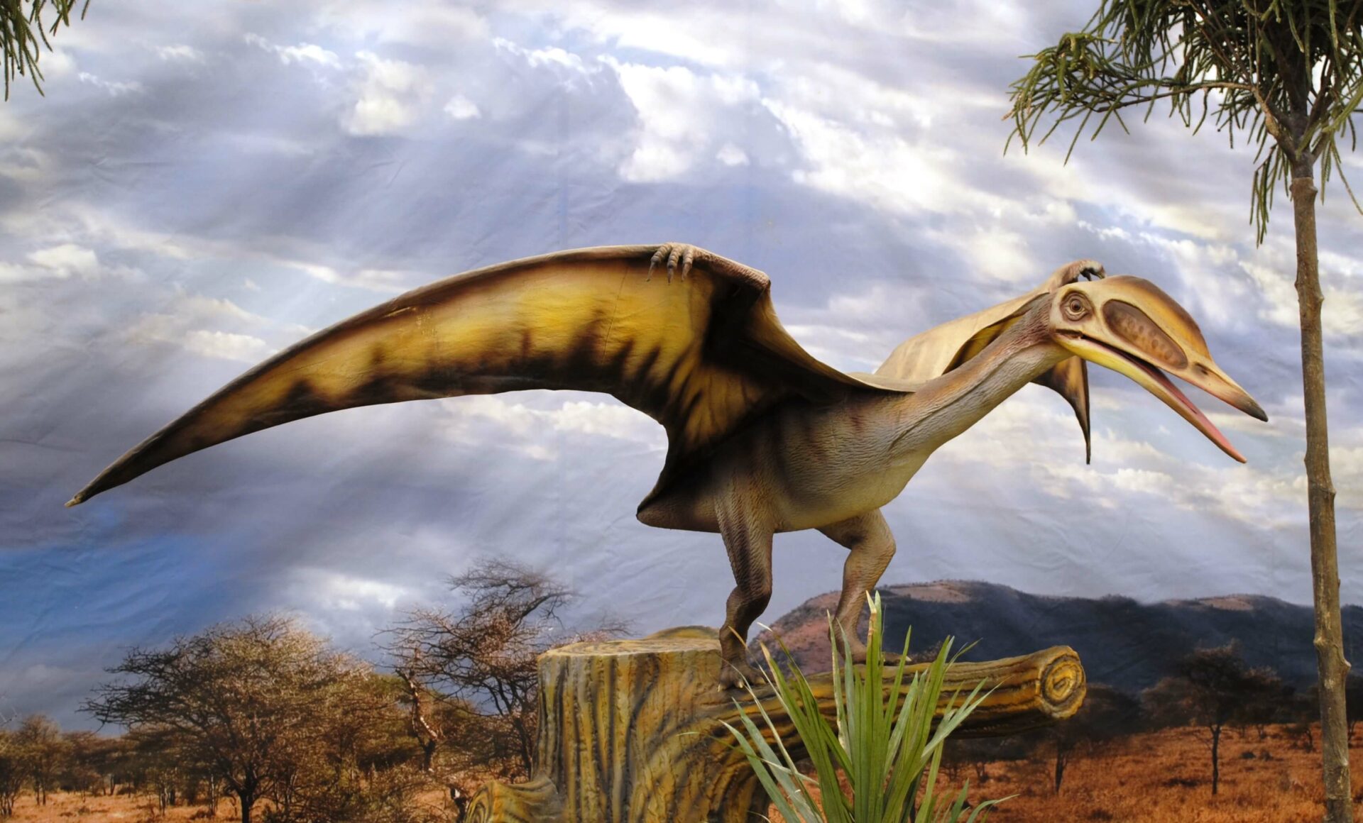 CIT’s New Evolution Coin: Pterosaur | MünzenWoche