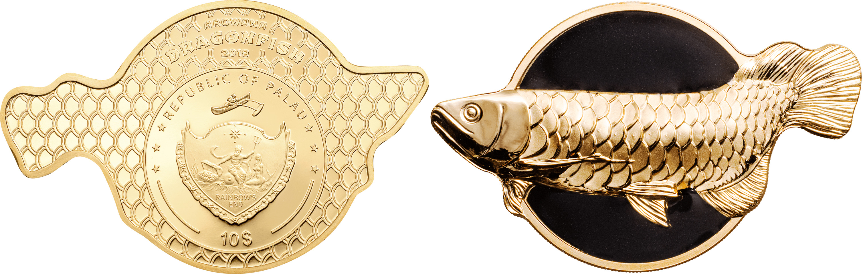 Dragonfish – Golden Arowana - CoinsWeekly