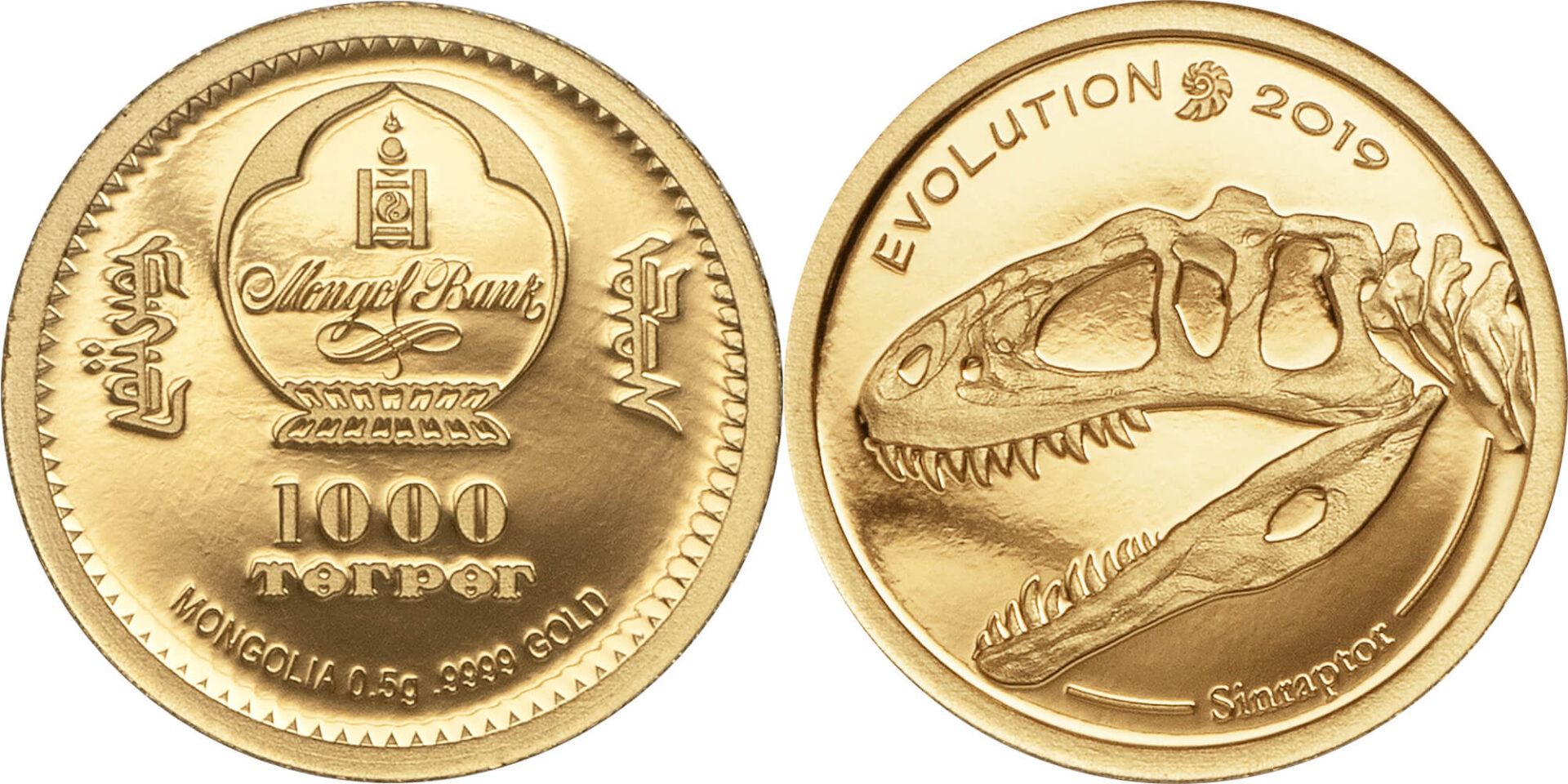 Evolution of Life – Sinraptor | MünzenWoche
