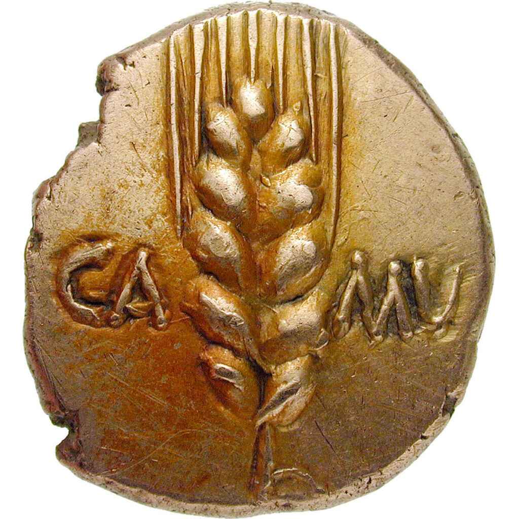 Numismatic Puzzle: Cunobelinus | MünzenWoche