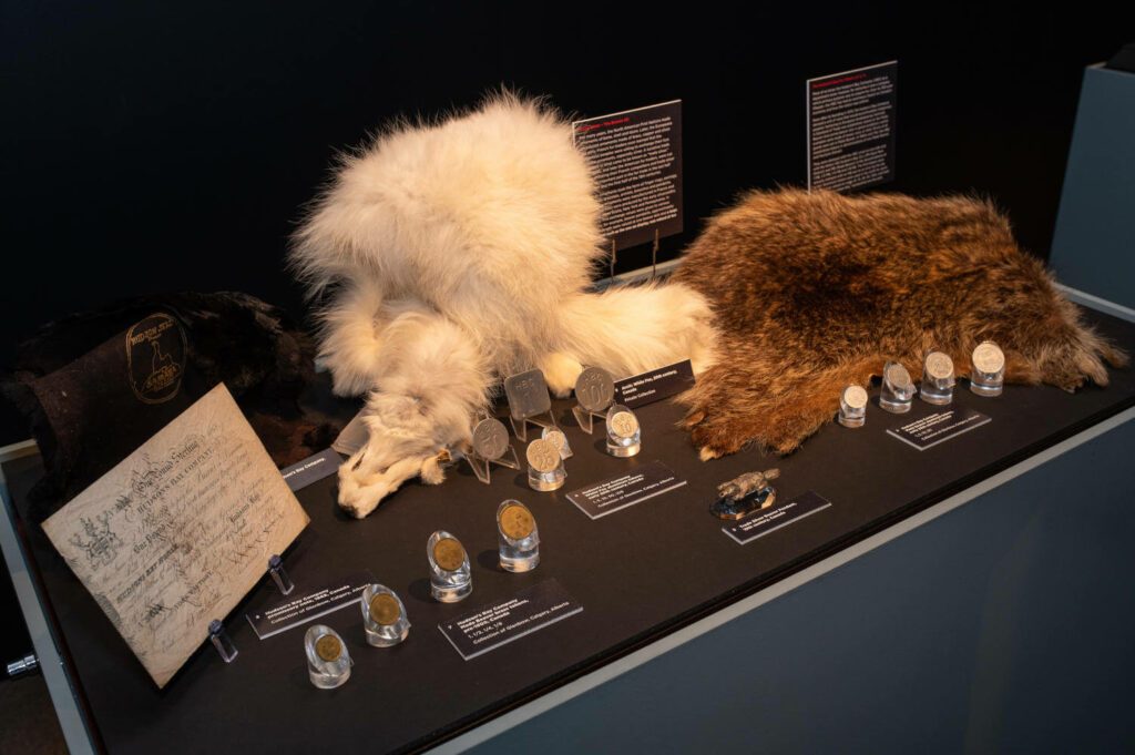 Money Zoo: Animals in the History of Money | MünzenWoche