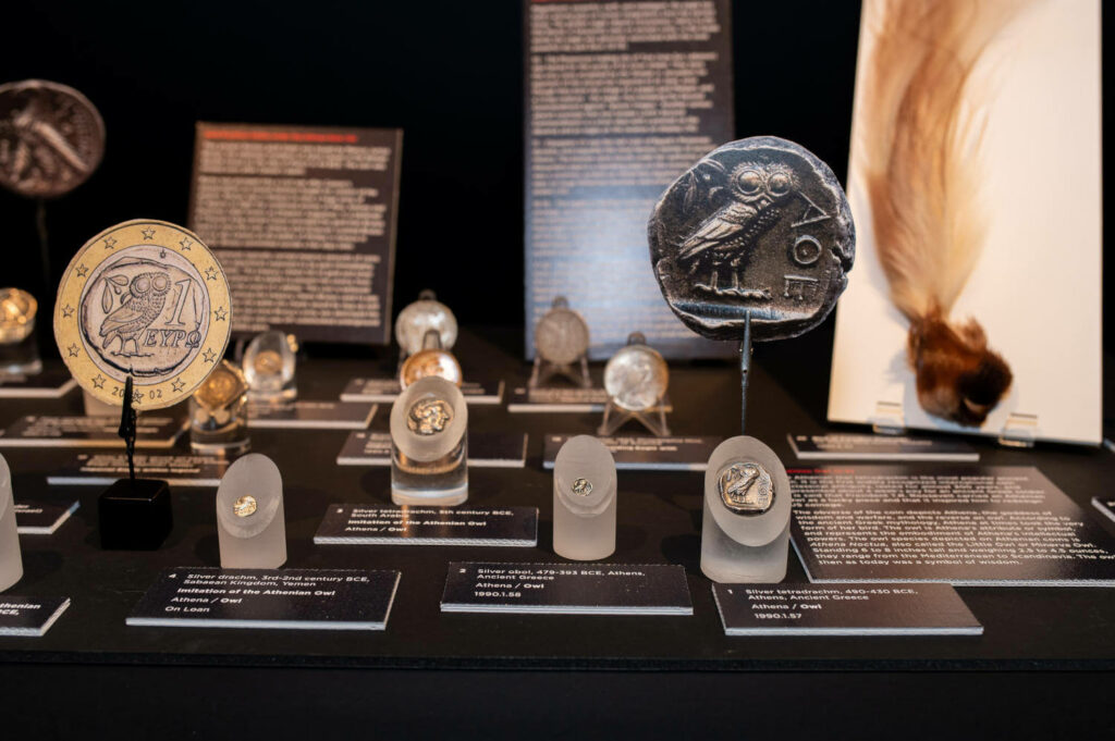 Money Zoo: Animals in the History of Money | MünzenWoche