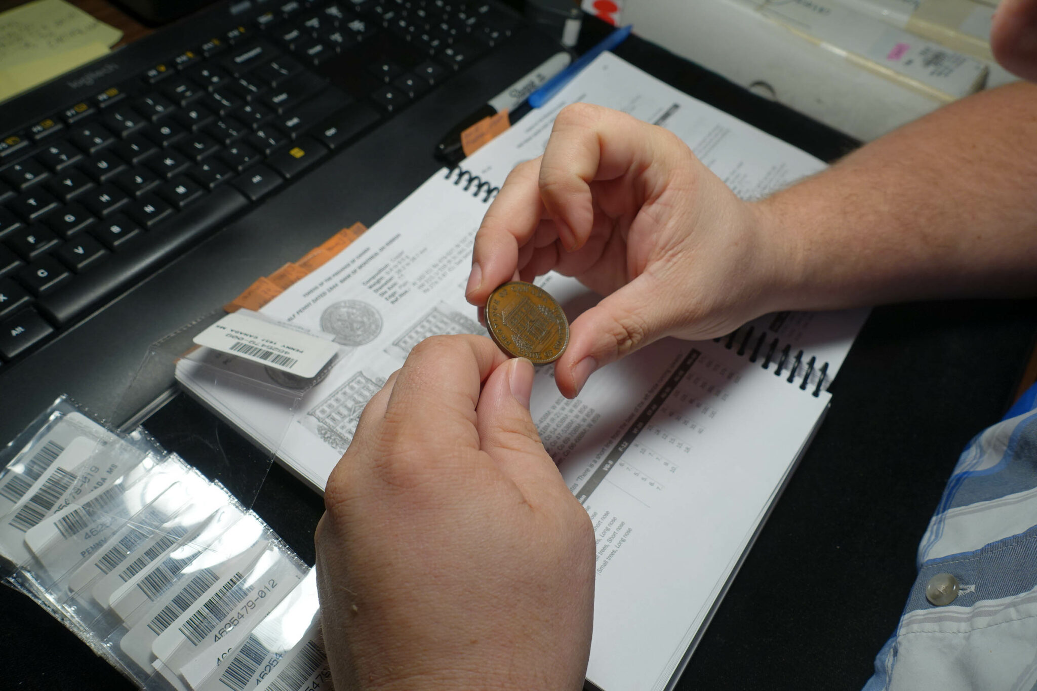 The US System of Coin Grading: Sheldon Scale, Grading Companies and ...